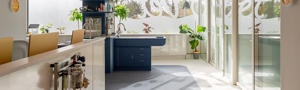 Hello Vet raises millions to expand 'people-first' practices across UK